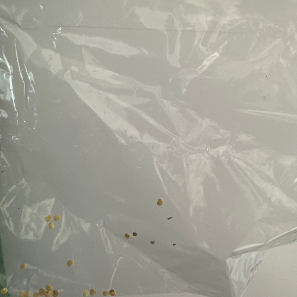 50 African Basil, Effrin, Daidoya Seeds - Etsy