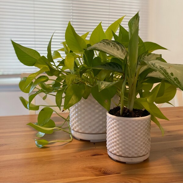 The CHEQUER (4") --- Small Textured 3D Printed Planter Pot Checkerboard ...