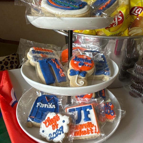 University of Tennessee Sugar Cookies - Etsy