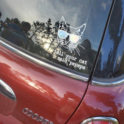 Cat Decal, Vinyl Decal, Car Decal, Bumper Sticker, 5 Decal - Etsy