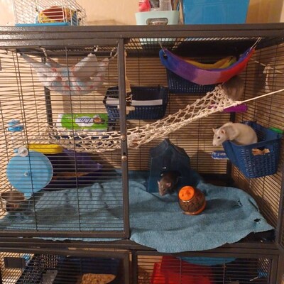 Handmade Rope Ladders/nets - Etsy