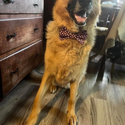 Scrunchie Dog Bandana Pattern Dog Bandana Pattern With Elastic ...