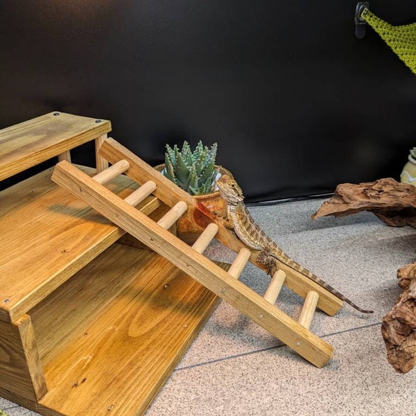 Natural Wooden Reptile Tunnel Hide. Vivarium & Terrarium Decorations ...
