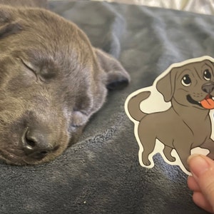 Mudi Sticker Chibi Puppy Dog, Vinyl, Hand Drawn Illustration ...