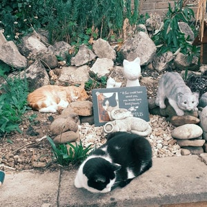 Custom Made PET Memorial Slate Dark Grey Hamster Cat Dog Grave - Etsy