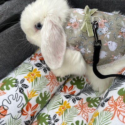 New Blue Lily of the Valley Vest, Pet Bunny/harness, Rabbit Clothing ...