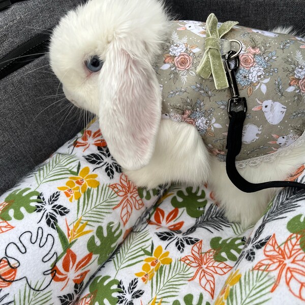 Autumn Ginkgo Wool Short Dress, Pet Bunny Dress/harness, Rabbit ...