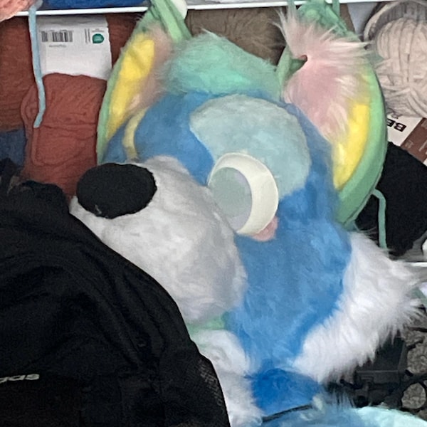 Sammy der Hund, Toony Foam Furry Fursuit Head Base für Fursuiting, Für ...