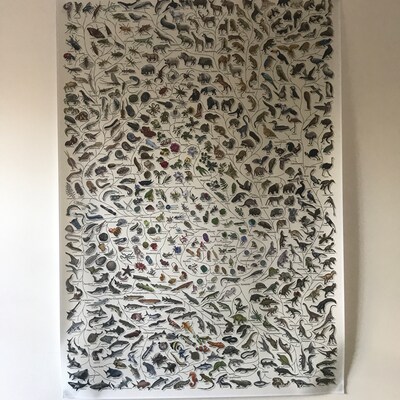 Evolutionary Biology Tree of Life Poster Nature Lover Gift Idea - Etsy