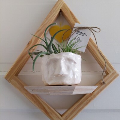 Wall Mount Diamond Planter With Saucer, Geometric Wall Planter ...