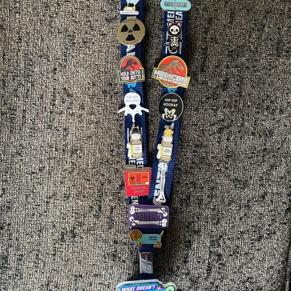 Lenticular Radiology Light Box Enamel Pin Medical Gift Gift for Doctor ...