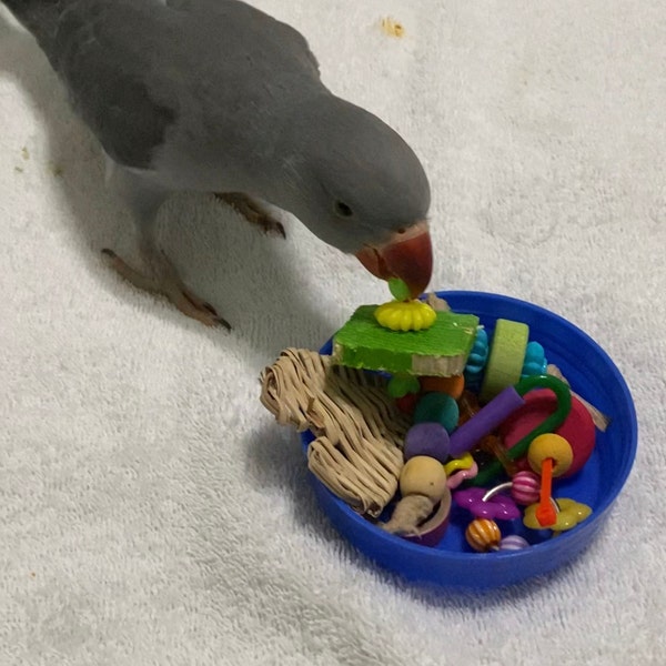 Conure Footies Jar of Foot Toys - Parrot Accessories, Bird Toys ...