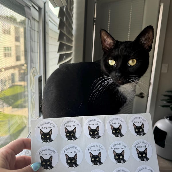 Shhh It's a Surprise Stickers, Surprise, It's a Surprise, Party, Gender ...