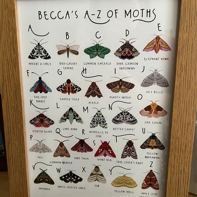A-Z of Moths, Alphabet Print, Types of Moths Poster, Beautiful Moths ...