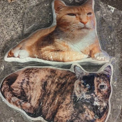 Photo Customization DIY Dog Cushion Pet Plush Toys Dolls Stuffed Animal ...