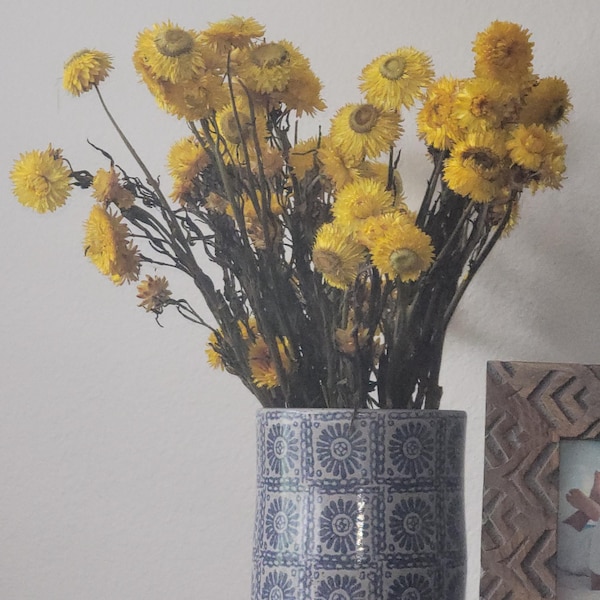 Dried Pepper Grass, Lepidium, Dried Grass, Grass Bunch, Green Grains ...