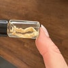 Diaphonized TADPOLE SKELLETON, XS Kawaii, Wet Specimen, Diaphonization ...