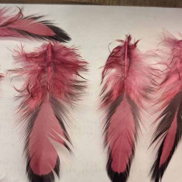 Feather Supply, 1 Piece - COMPLETE NATURAL Ringneck Pheasant Skin Pelt ...