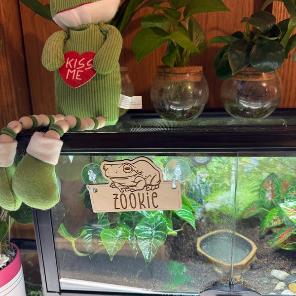 Guinea Pig Cage Tag, Personalized, Custom, Engraved Wood, Pet Guinea ...