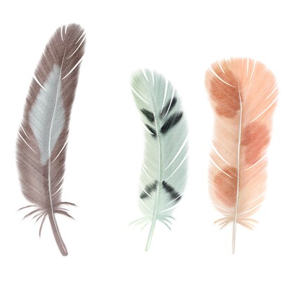 Watercolor Feather Brush Kit for Procreate - Etsy