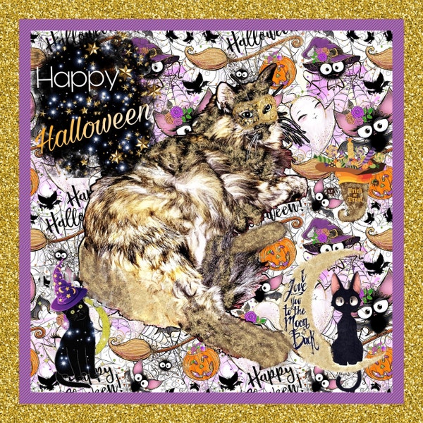 Cute Halloween Digital Paper Pack, Halloween Seamless Patterns, Spooky ...