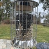 Squirrel Proof, LARGE BIRD STOPPER, Bird Feeder for Songbirds - Etsy