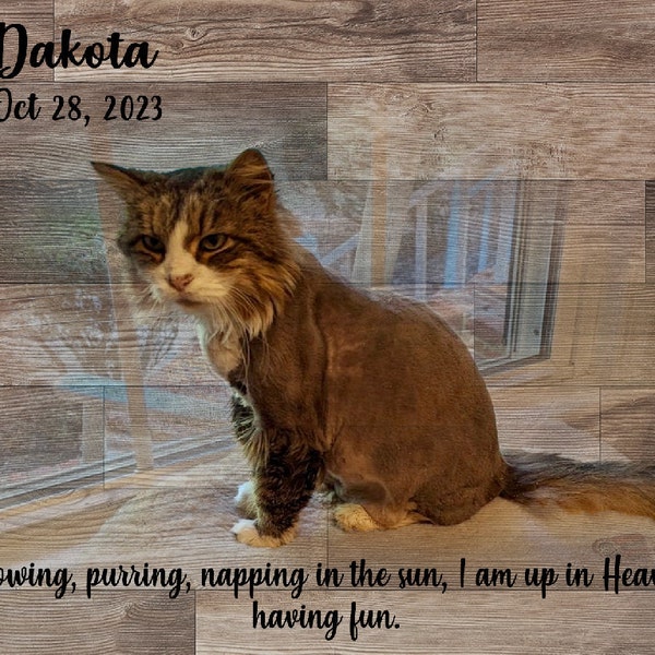 Cat Memorial Personalized Cat Memorial Loss of Pet Cat Pet Memorial ...