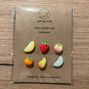 Mini Clay Magnet Set Vegetables Handmade Polymer Clay Fridge Magnets ...