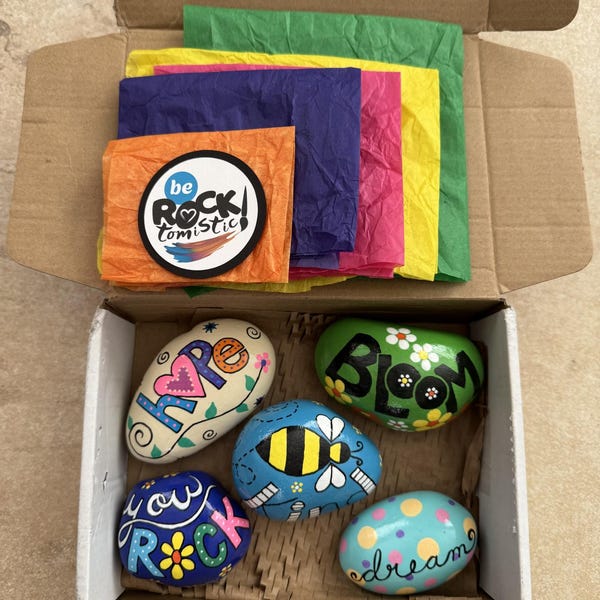 Box of Rocks - Happy Stones, Hand Painted Cute Creatures and Kindness ...