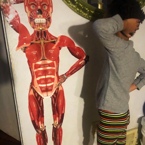 Anatomy HUMAN BRAIN Foldable Anatomically Correct Paper Hat W/lobes ...