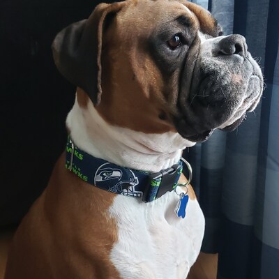Seattle Seahawks Navy Blue NFL Dog Collar Handmade by Terri's Dog ...