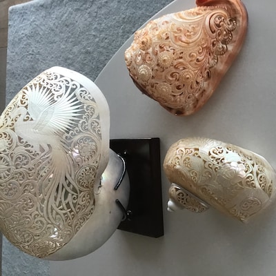 Carved Pearl Nautilus Shell Dragon Carving,real and Natural Nautilus ...