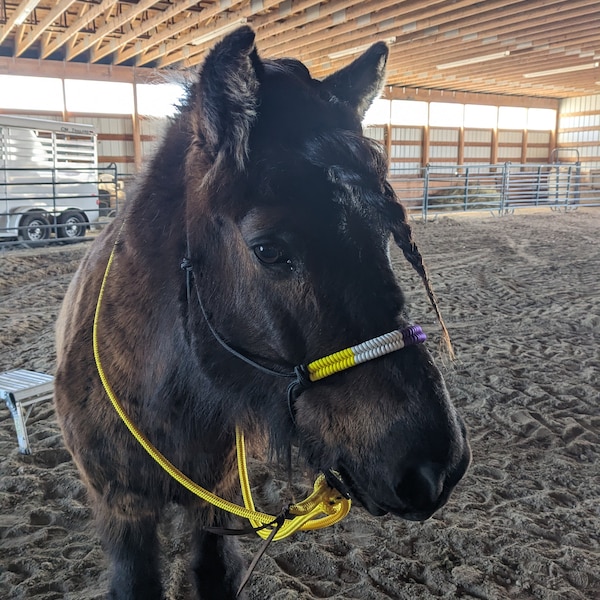 Custom Finesse Loop Reins, Finesse Style Yacht Rope Reins, Rope Reins ...