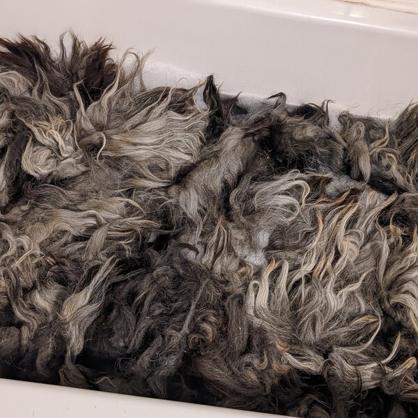 Karakul Mohair Blend White Wool Roving Fleece Fiber - Etsy