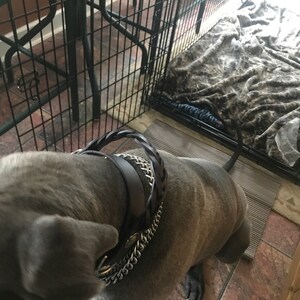 Firefighter Dog Collar Fireman Concho Dog Collar with Name | Etsy