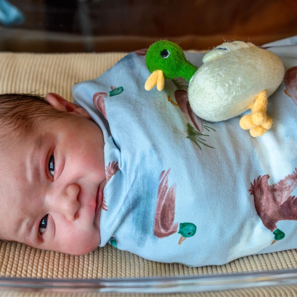 MADE TO ORDER! Felted Duck | Newborn Waterfowl/mallard Wild Duck ...