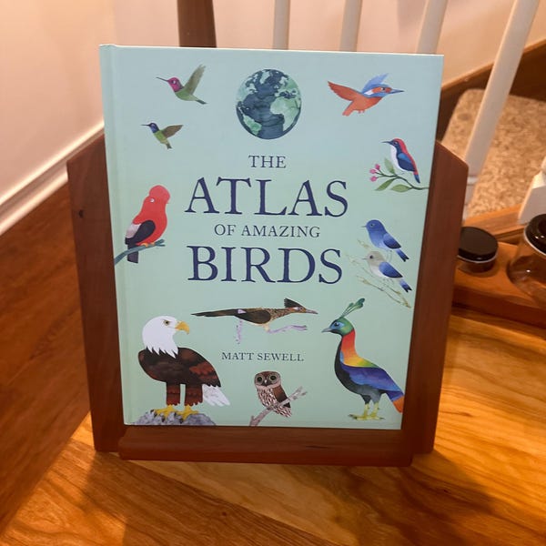 Book Display Stands - Table Top 8x8 or 12x12 Inches - Cherry and Maple ...