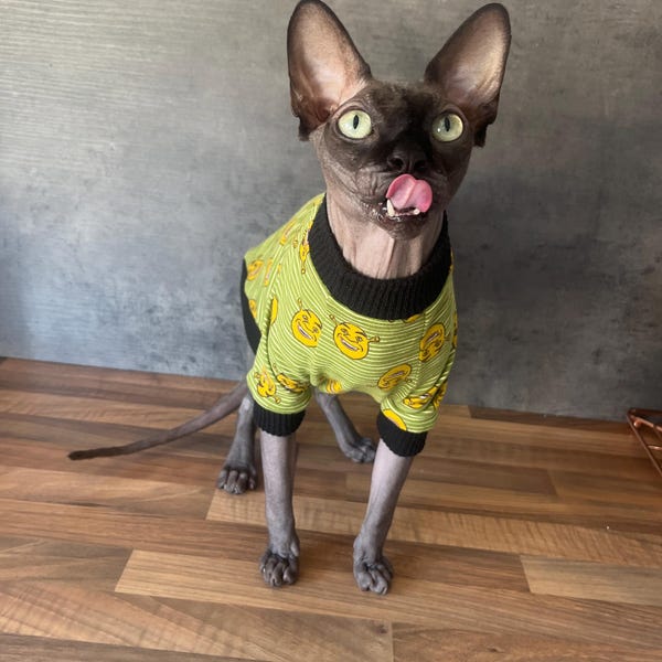 Sphynx Cat Clothes, Clothes, Long Sleeves Sphynx Cat Jumper, Sphynx Clothes, Devon Rex Clothes ...