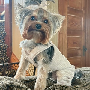 Knitted Muffler, S,L, Dog Cape, Pet Neckwear, Dog Neck Warmer, Pet ...