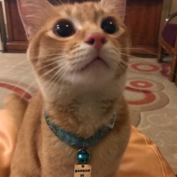 Dog Tag, Square Dog Tag, Brass Dog Tag, Pet ID Tags, Personalized Dog ...