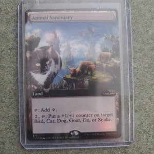 Personalized Pet Magic the Gathering Foil Land - Etsy