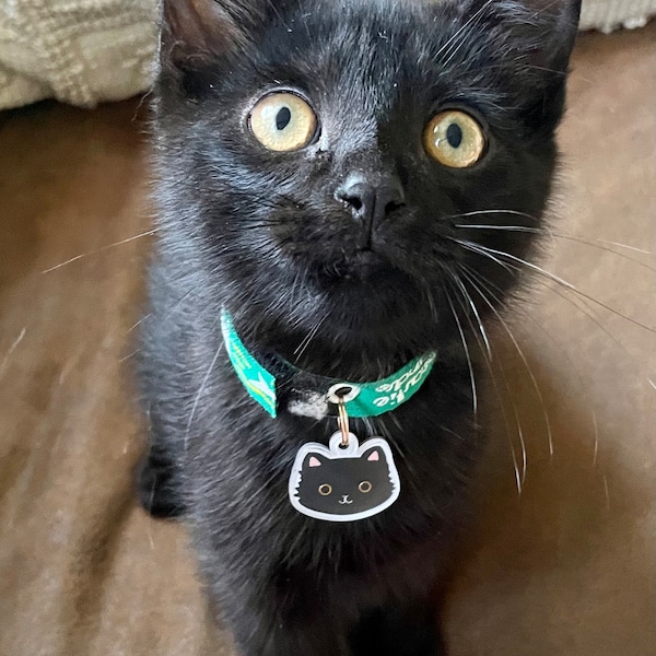 Cute Xiao Long Bao Dog Toy With Squeaker Cute Kawaii Chinese Dumpling ...