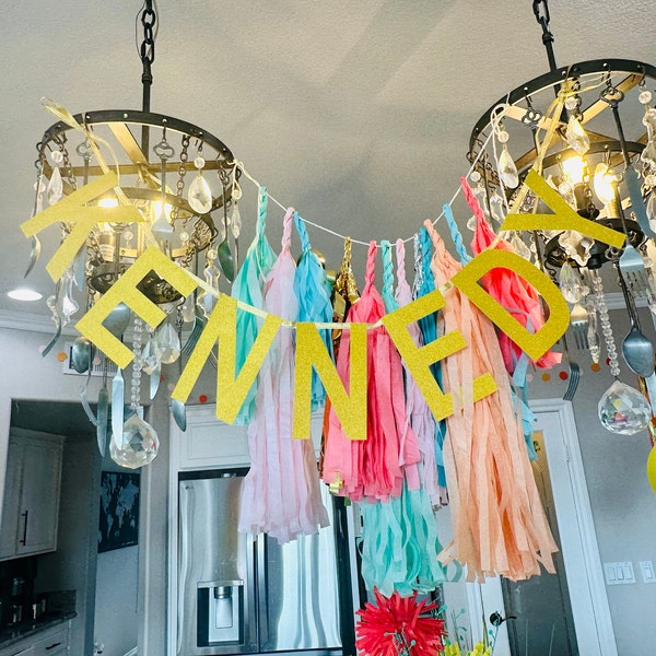 Pink and Shimmer Fringe Backdrop, Photo Wall, Streamer Wall, Party ...