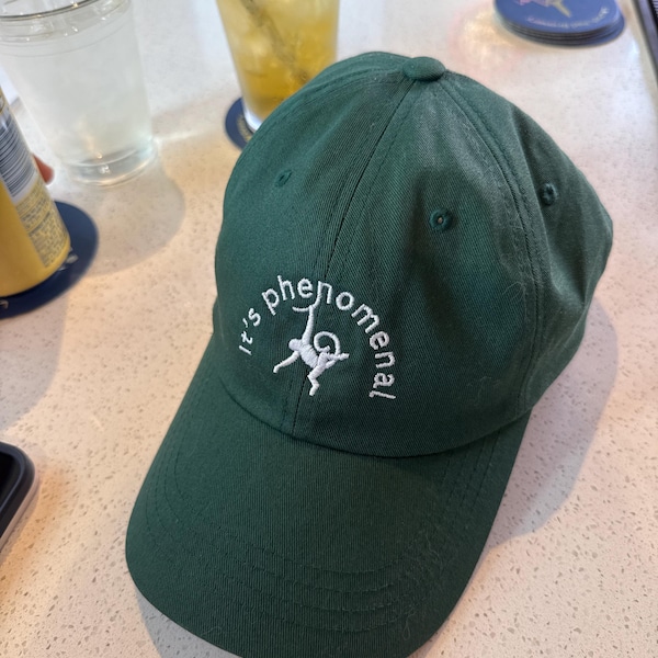 Goose Daddy Hat Goose the Band - Etsy