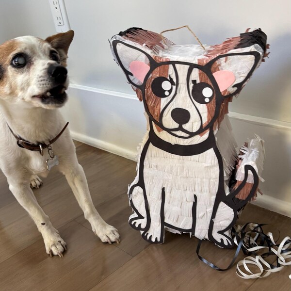 Custom People Piñata, Head Piñata - Funny Personalized Birthday Gift ...