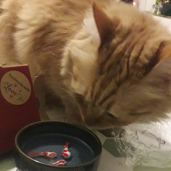 Eternal Red Koi Fish, Resin Fish Pool, Decorative Dish, Boho Style ...