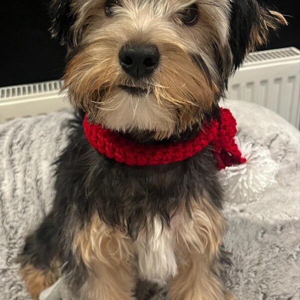 Christmas Dog Scarf With Pompom - Available in 4 Colour Schemes - Santa ...