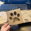 Paw Print Favor Boxes Kraft Dog Cat Animal Pawprint Cookie Treat Candy ...