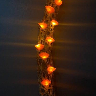 Handmade Copper Wall Hanging Cholla LED Mushroom Lamp 13-15 Tall - Etsy