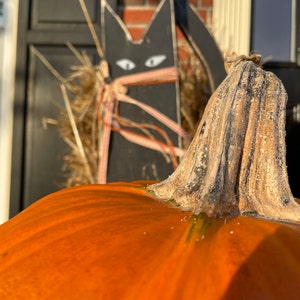 Halloween and Fall Cat Decorations - Etsy